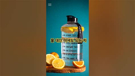 물 대신 마시면 좋은차 이뇨작용 없는 차 Youtube