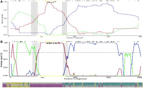 a an rdp analysis top and a bootscan analysis bottom showing a