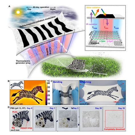 Gist 고려대 얼룩말 무늬 응용해 구부러지고 늘어나는 섬유형 발전시스템 개발 전자신문