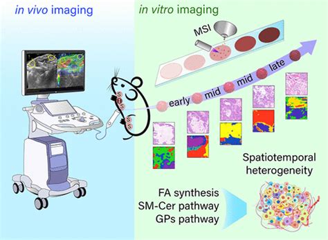 Jacs Au Vol 4 No 2 Acs Publications