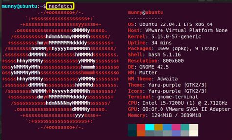 the “neofetch” command in linux [12 practical examples]