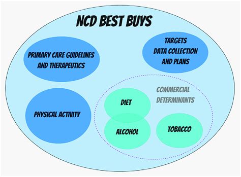 Conceptual Analytic Framework Developed To Guide Analysis And Download Scientific Diagram