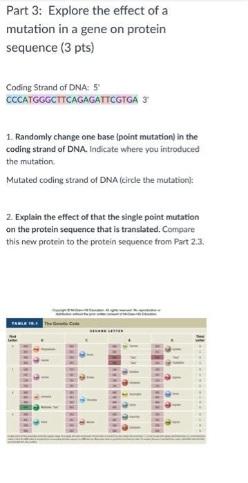 Solved Part Transcribe A Small Fragment Of DNA Pts Chegg Com