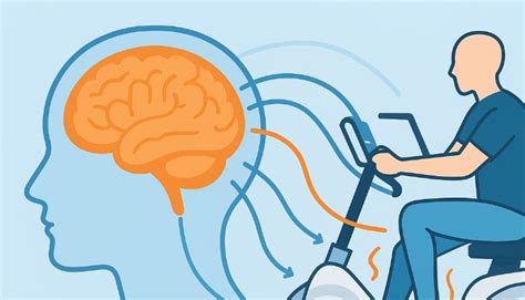 The Science Behind Active Passive Cycling For Recovery Medup Bike