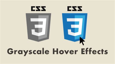 Css Grayscale Hover Effects Plantpot