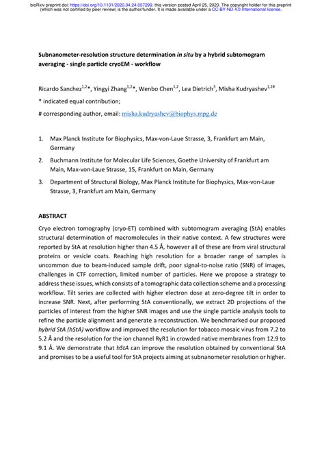 Pdf Subnanometer Resolution Structure Determination In Situ By A Hybrid Subtomogram Averaging