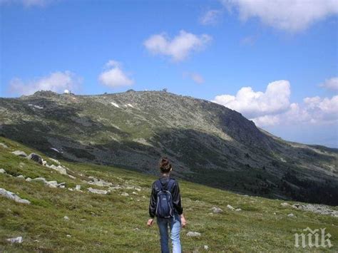 Засаждат 200 дръвчета на Витоша по случай „Седмицата на гората“ Информационна агенция ПИК