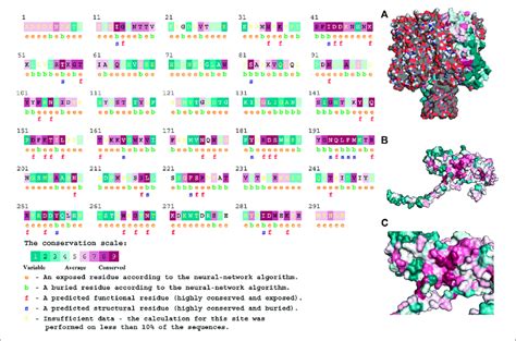Structural Characteristics Of Hla Protein Note A Presents The Download Scientific Diagram