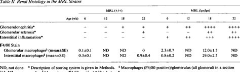 Figure 2 From Local Extrahepatic Expression Of Complement Genes C3 Factor B C2 And C4 Is