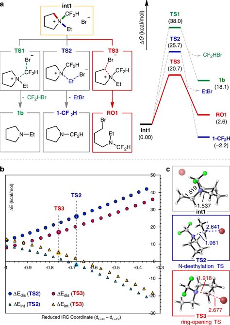 Evaluation Of Selectivity For 5 Membered Cyclic Amines With Dft