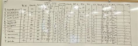 I Need Help Setting Up A Simple Tree Branch Diagram Chegg Com