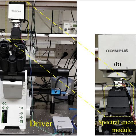The Spectral Imaging System It Is Based On A Commercial Olympus Ix81 Download Scientific