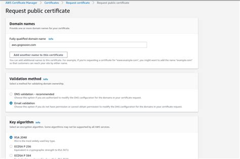 How To Deploy A Nextjs App With Custom Domain On Aws Using Sst Gogosoon