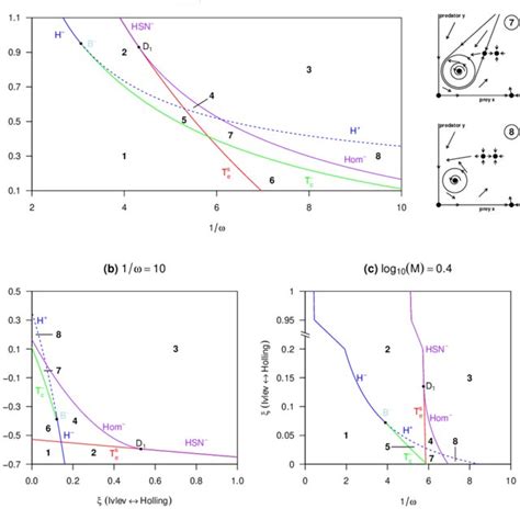 Predator Prey Model Three Dimensional Bifurcation Diagram With A