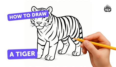 How To Draw A Tiger With Pencil Step By Step Guide