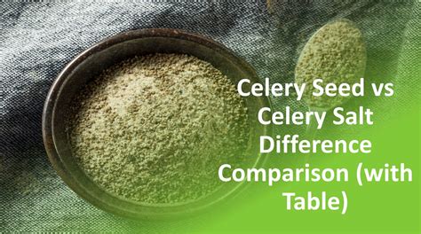 Celery Seed Vs Celery Salt Difference Comparison With Table