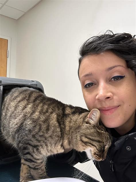 The Cat Distribution System Chose Me Yesterday 😻