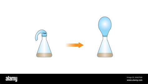 Scientific Designing Of Yeast Respiration Experiment Colorful Symbols