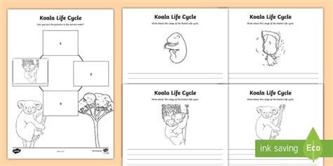 Koala Life Cycle Worksheet Worksheets Creat De Profesori