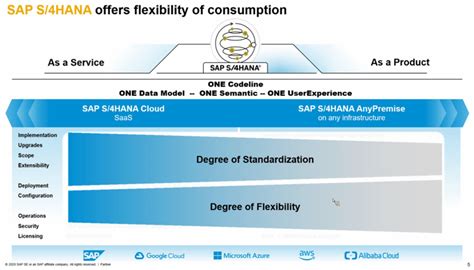 Sap S4hana Deployment Options Cloud Vs On Premise Leanix