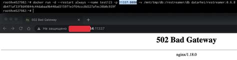 Nginx Reverse Proxy Issue 346 Datarhei Restreamer GitHub