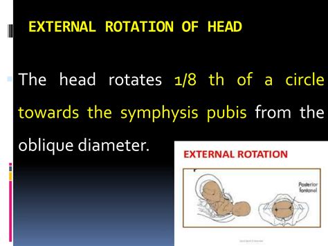 MECHANISM OF LABOUR OBSTETRICS AND GYNAECOLOGY PPT Pregnancy Reproductive Health
