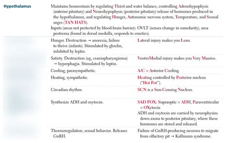Hypothalamic Nuclei Mnemonic