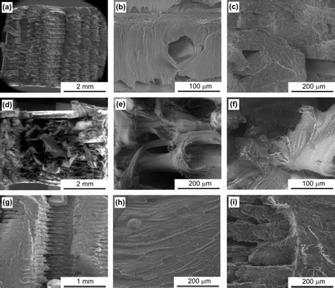 Sem Micrographs Of Tensile Fracture Surfaces Of Broken Specimens Of Ac Download Scientific