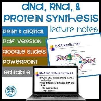 DNA RNA And Protein Synthesis PowerPoint Guided Notes Print Digital
