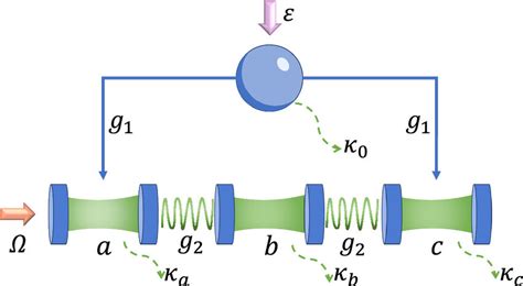 Sketch Of The System Three Cavities Labeled As A B And C Are Download Scientific Diagram