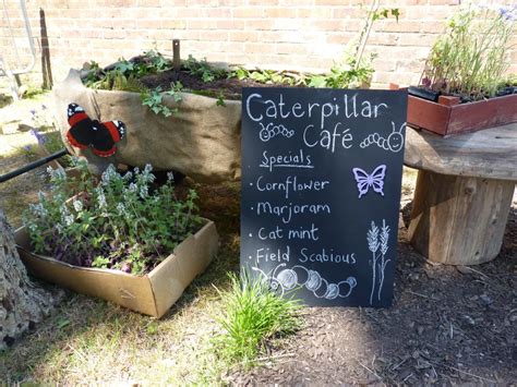 Resources And Activities Butterfly Conservation