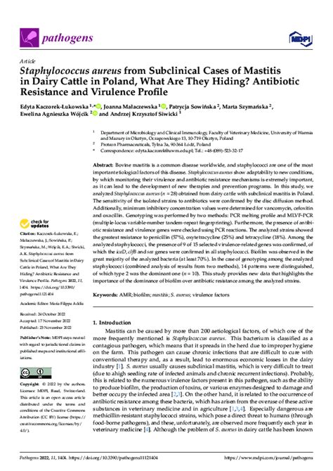 Pdf Staphylococcus Aureus From Subclinical Cases Of Mastitis In Dairy Cattle In Poland What