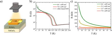 A Experimental Setup For The Two Terminal Au Electrodes Resistivity Download Scientific