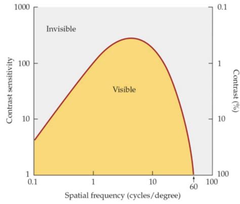 Spatial Vision Perception Exam 1 Prep Flashcards Quizlet