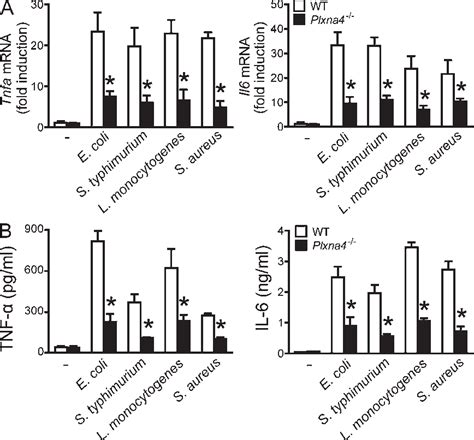 Figure 2 From Plexin A4 Semaphorin 3a Signaling Is Required For Toll Like Receptor And Sepsis