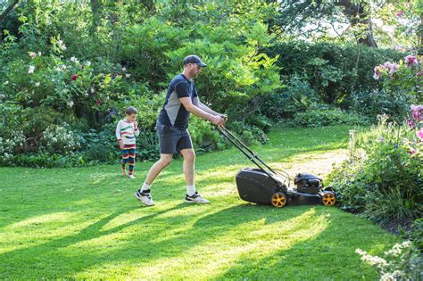 What Happens If You Let Your Grass Grow Too Long