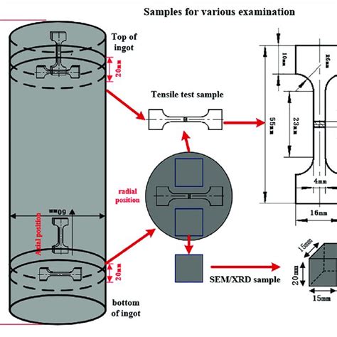 Schematic Graph Showing Agent Positions Of Microstructure Tests And Download Scientific