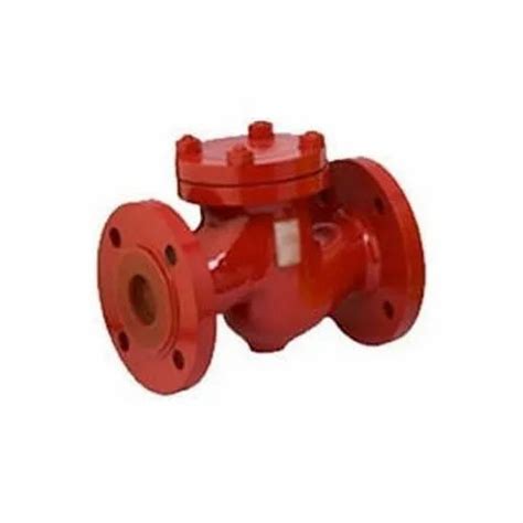 Lift Check Valve