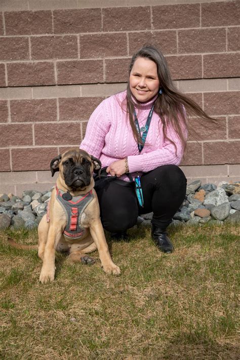 Dvids Images Akng Sexual Assault Response Coordinator Receives Dod Award For Exceptional