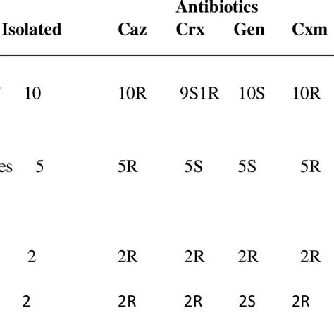 B Susceptibility Pattern Of The Isolates Using Gram Negative Download Table