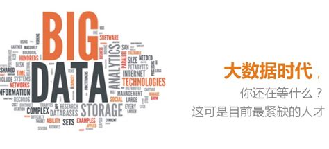 培训课程 数据库