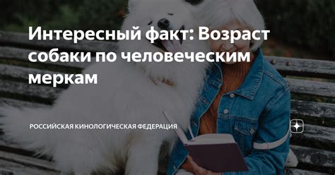 Интересный факт Возраст собаки по человеческим меркам Российская
