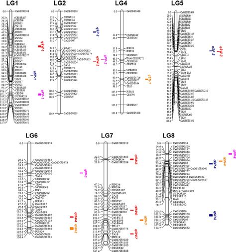 Location Of Qtls On The Genetic Linkage Map Of Chickpea Developed From