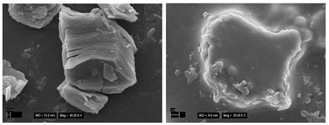 Amperometric Miniaturised Portable Enzymatic Nanobiosensor For The