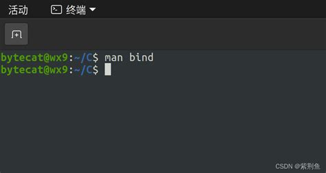 2 深入了解bind函数 Bind函数常用参数和说明 Csdn博客
