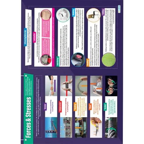 Dd Wc Forces And Stresses Sg Education