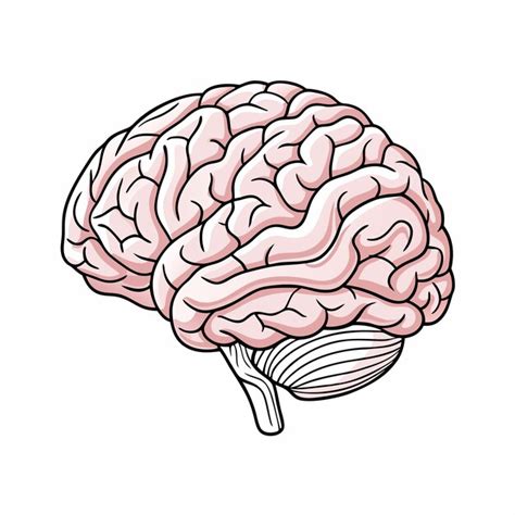 Brain Outline Vector Illustration 22 Premium Ai Generated Vector