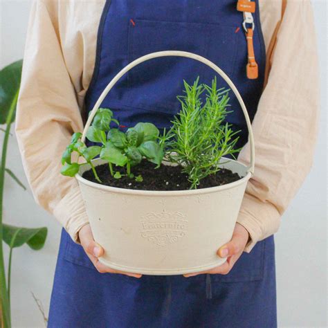 여름 한정 나만의 미니 허브 텃밭 만들기 솜씨당