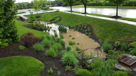 Rain Gardens And Bioswales For Suds