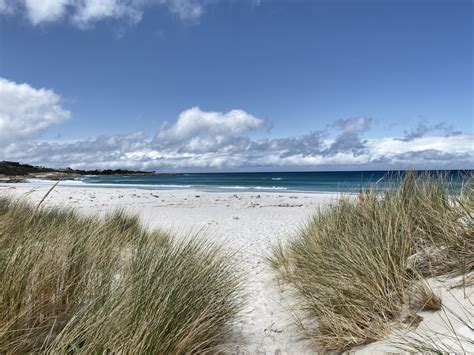 낮에는 푸른 하늘과 흰 구름 아래 바다 근처의 푸른 잔디 사진 Unsplash의 무료 풀 이미지